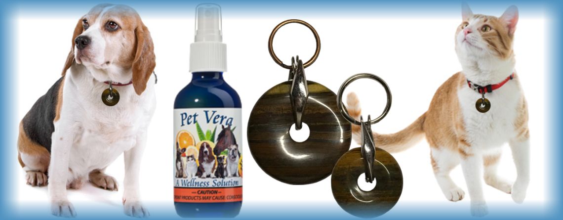 Zero Point Energy Pendant | EMF Protection, Focus, Energy, and Balance
